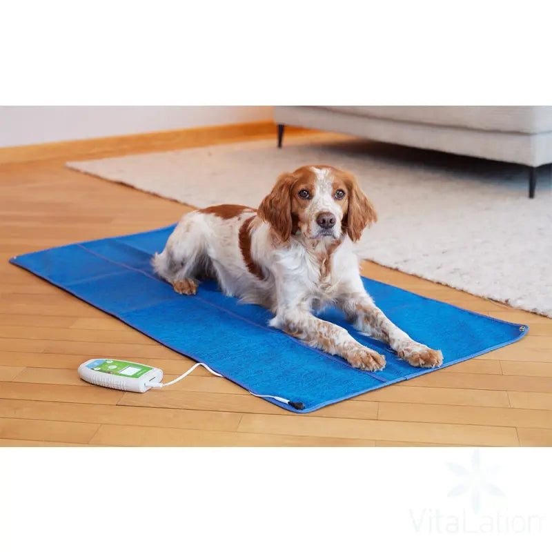Bioresonanz Matte für Mensch & Tier – Professionelle Frequenztherapie